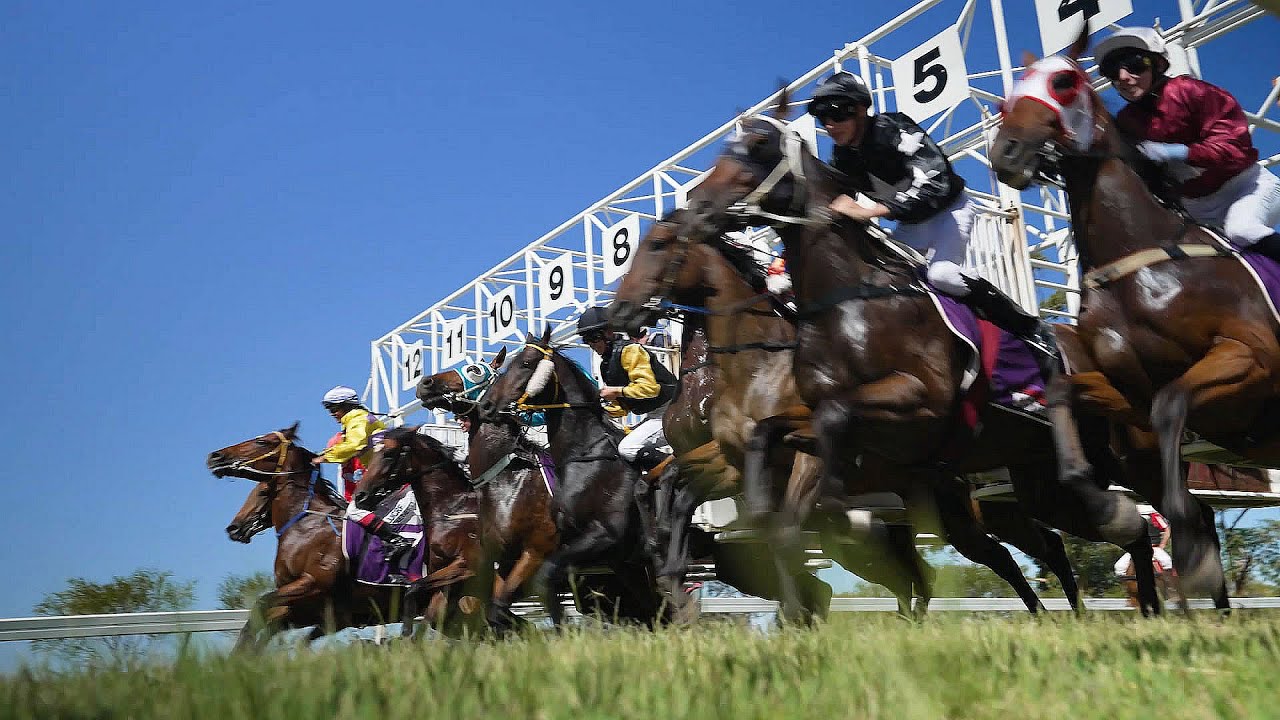 Destination WA - The Races WA - Mingenew Race Cup - YouTube