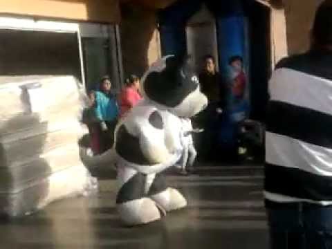 Botarga de Vaquita Alpura Bailando "Ai Se Eu Te Pego" - YouTube