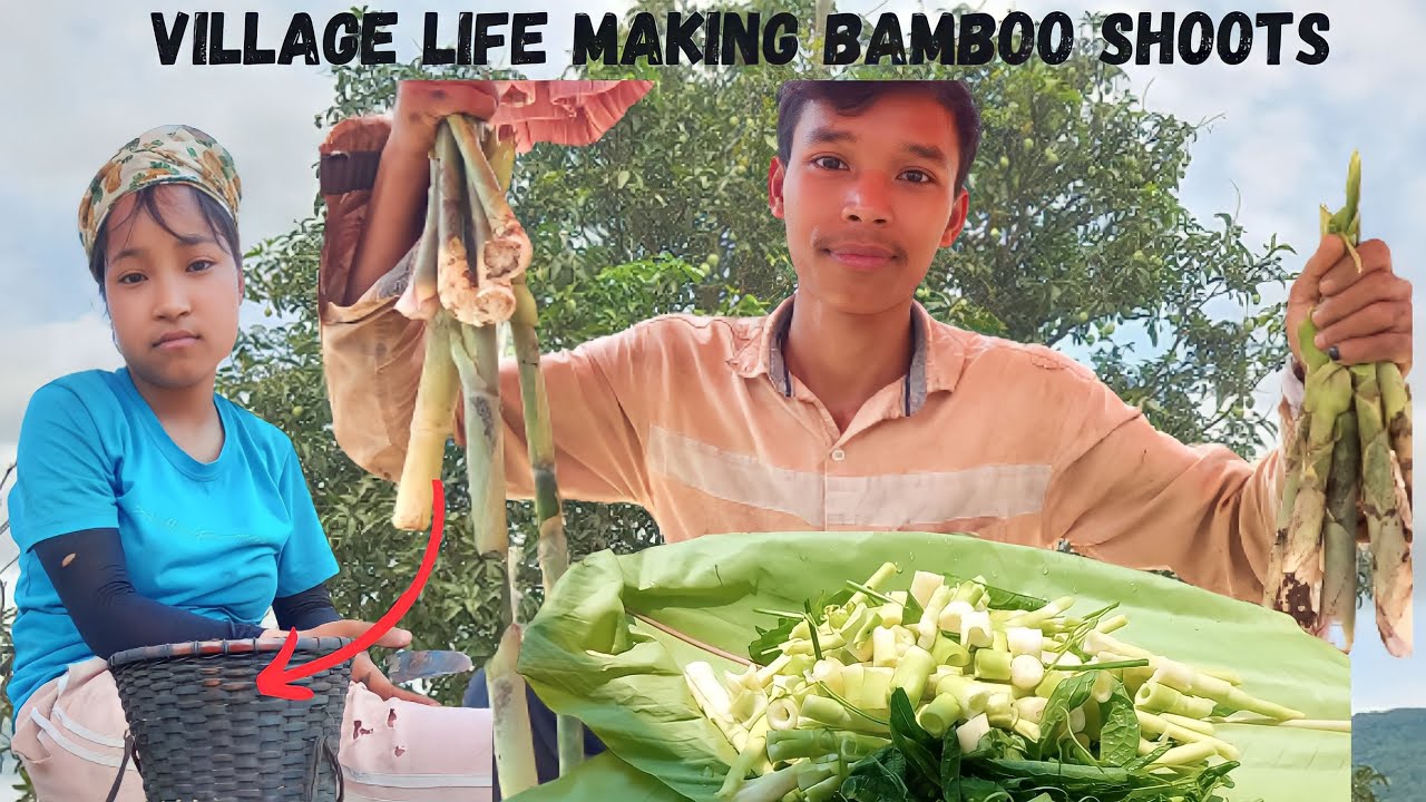 village life style cooking bamboo🤪 | bamboo shoot | wildlife |northeast ...