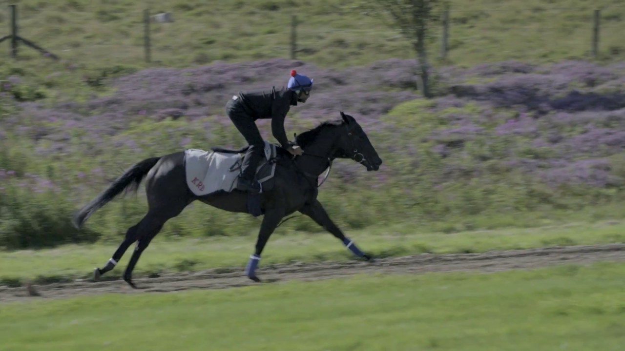 Karl Burke - Spigot Lodge Race Horse Training - YouTube