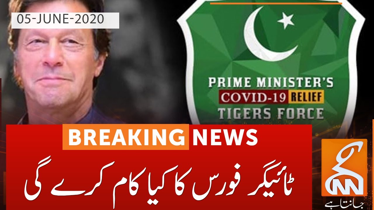 New Task for Tiger Force | PM Imran Khan | 05 June 2020 - YouTube