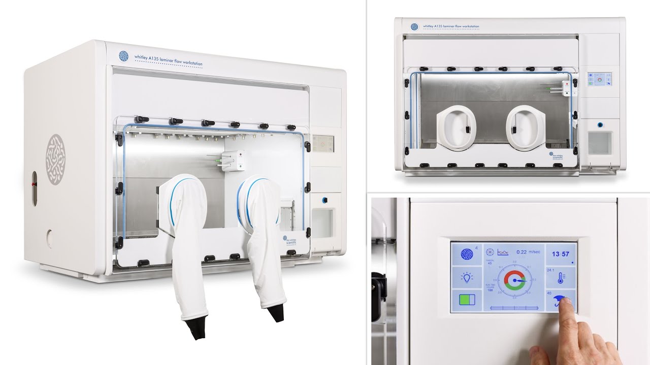 Whitley A135 GMP Anaerobic Workstation - YouTube