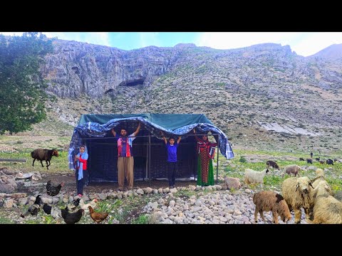 Nomad Migration in Zagros | Setting Up a Tent in the Wild Mountains 🏕️🏔️