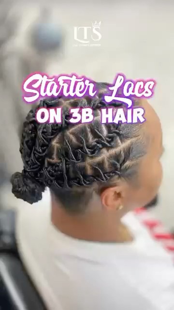 Starter Locs on 3B hair Double Strand Twist medium sized - YouTube