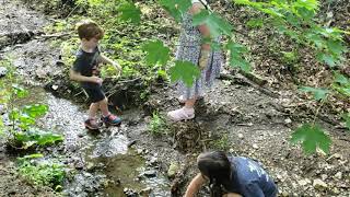 Daniel Boone Native Gardens, June 16, 2019 (part 1)