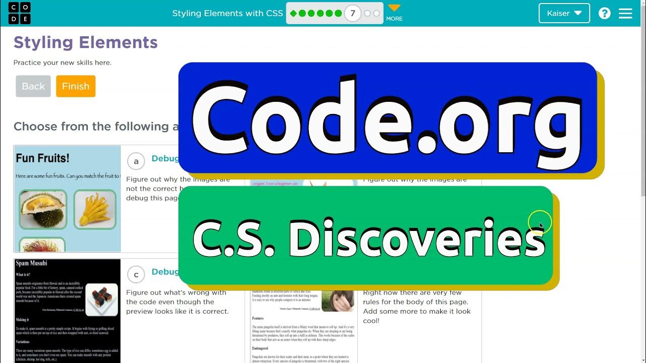 Code.org Lesson 11.7 Styling Elements with CSS | Tutorial with Answers | Unit 2 C.S. Discoveries ...
