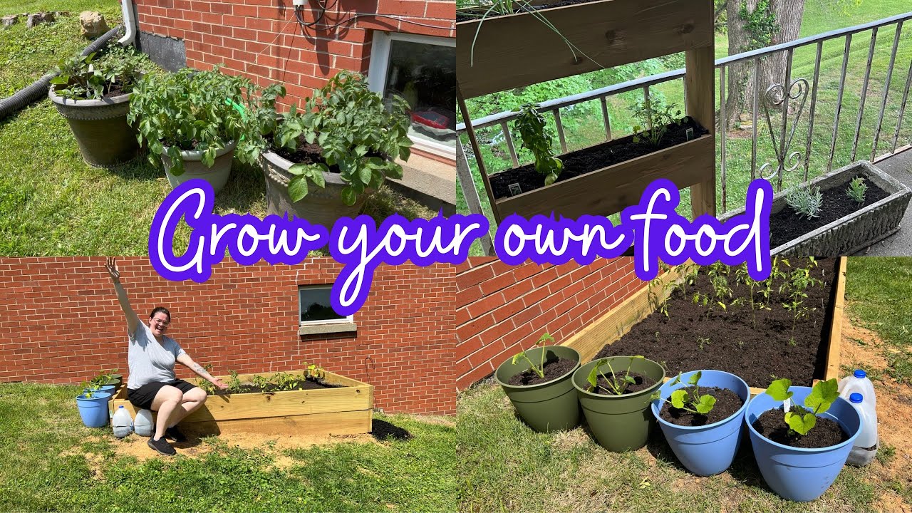 DIY Raised Bed + Container Gardening 👩‍🌾 || Beginner Gardener 2023 ...