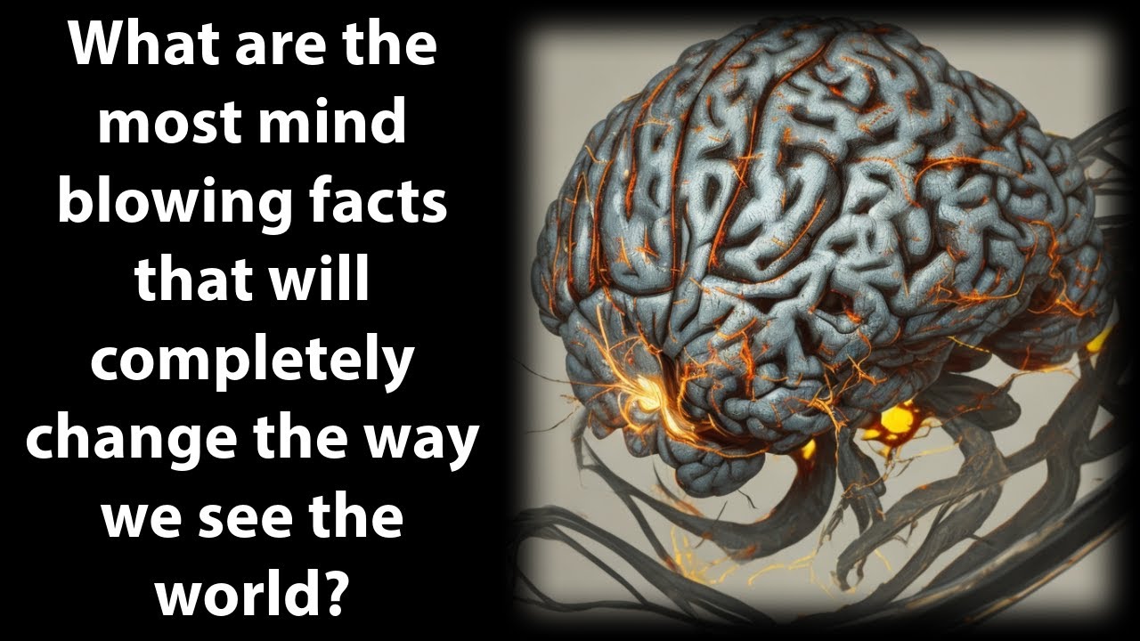 What are some of the most mind blowing facts that will completely ...