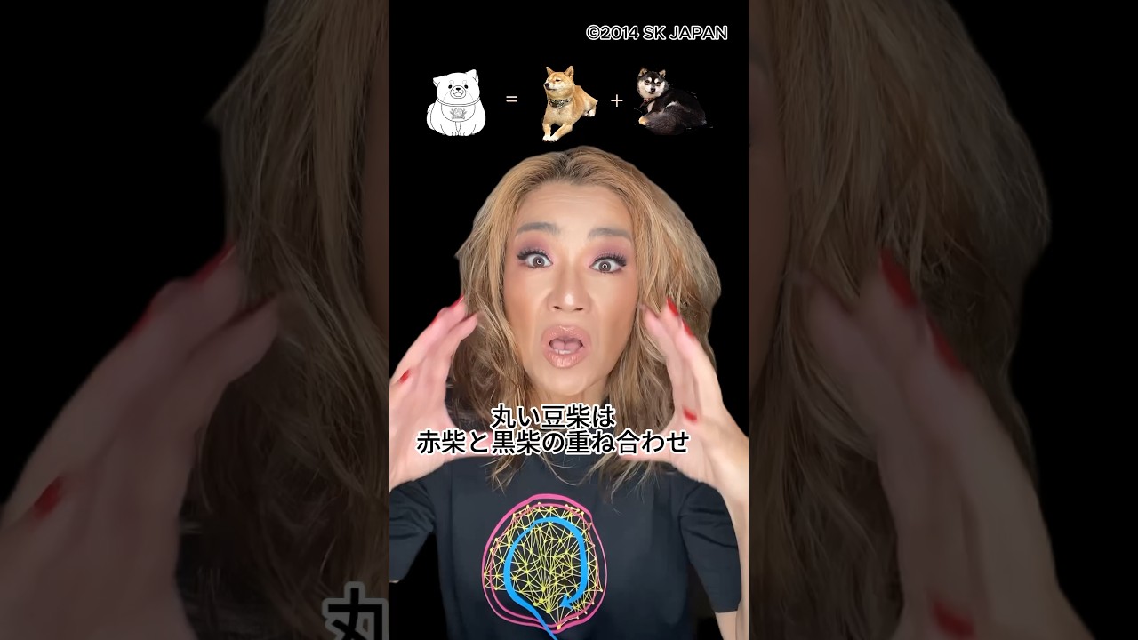 重ね合わせ David Z Albert 1992 #宇宙 #科学 #宇宙思考 #bossb #peace - YouTube