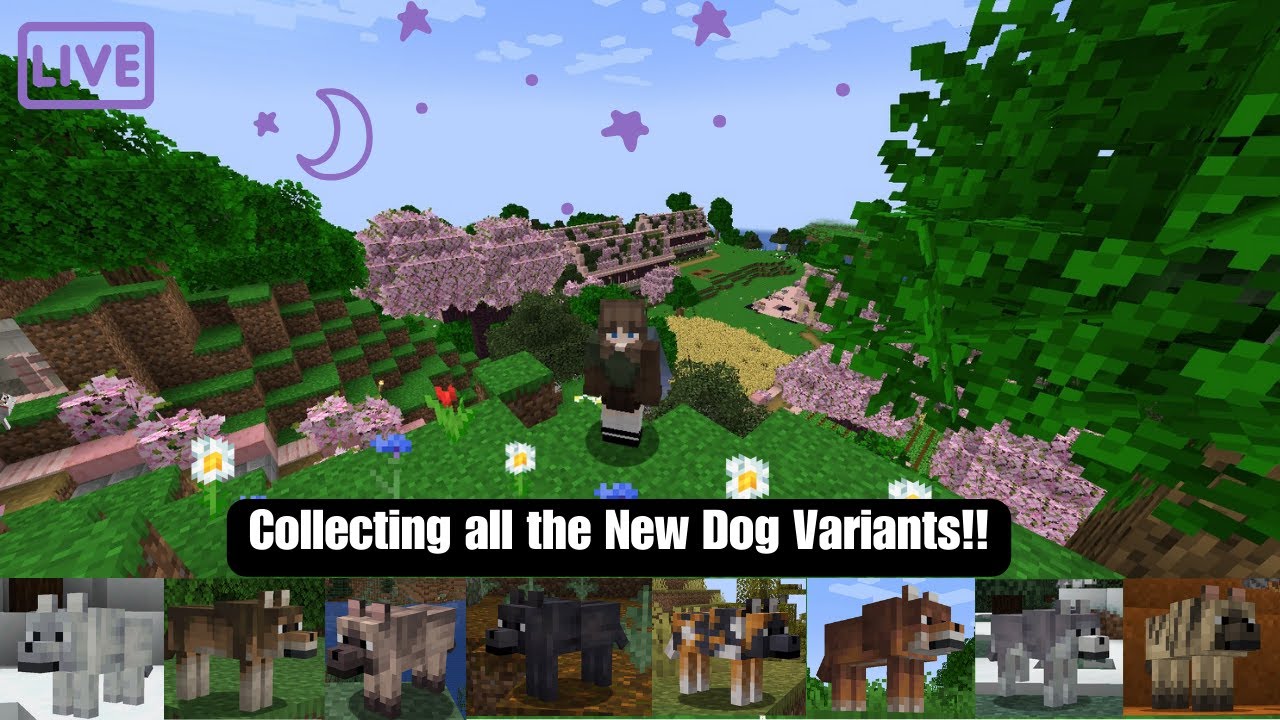 Collecting all the New Dog Variants!!*LIVE* - YouTube