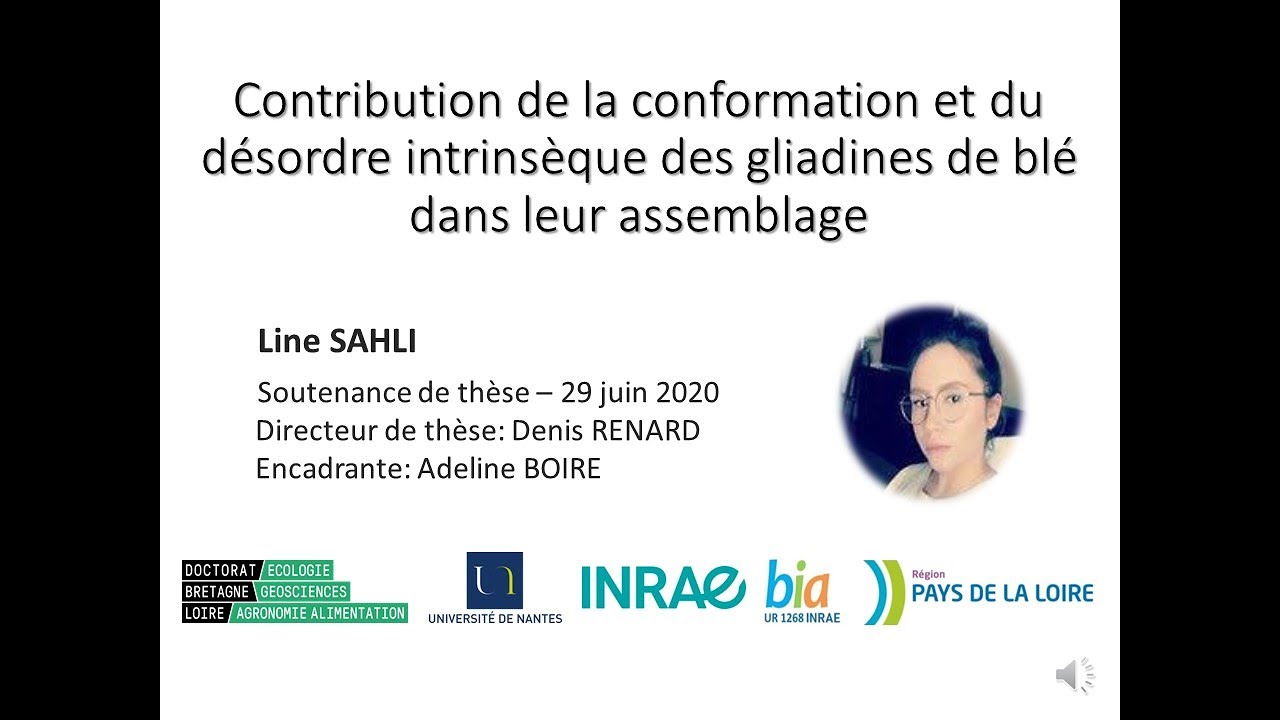2020-Thèse de Line Sahli - YouTube