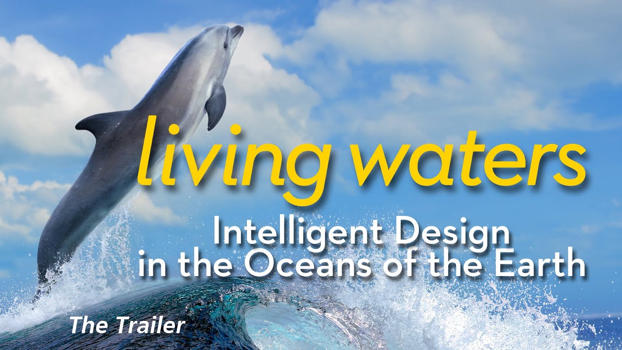 Living Waters - Official Trailer - YouTube