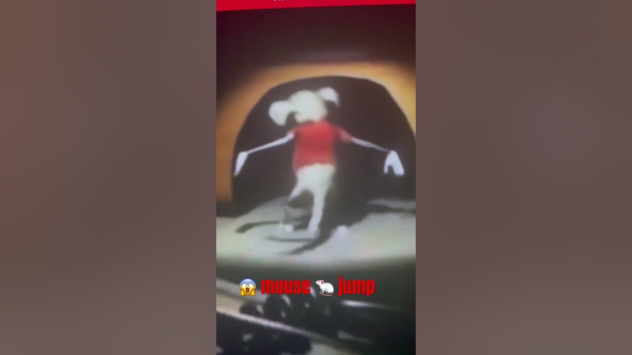 Dancing Mouse Jump Scare Youtube