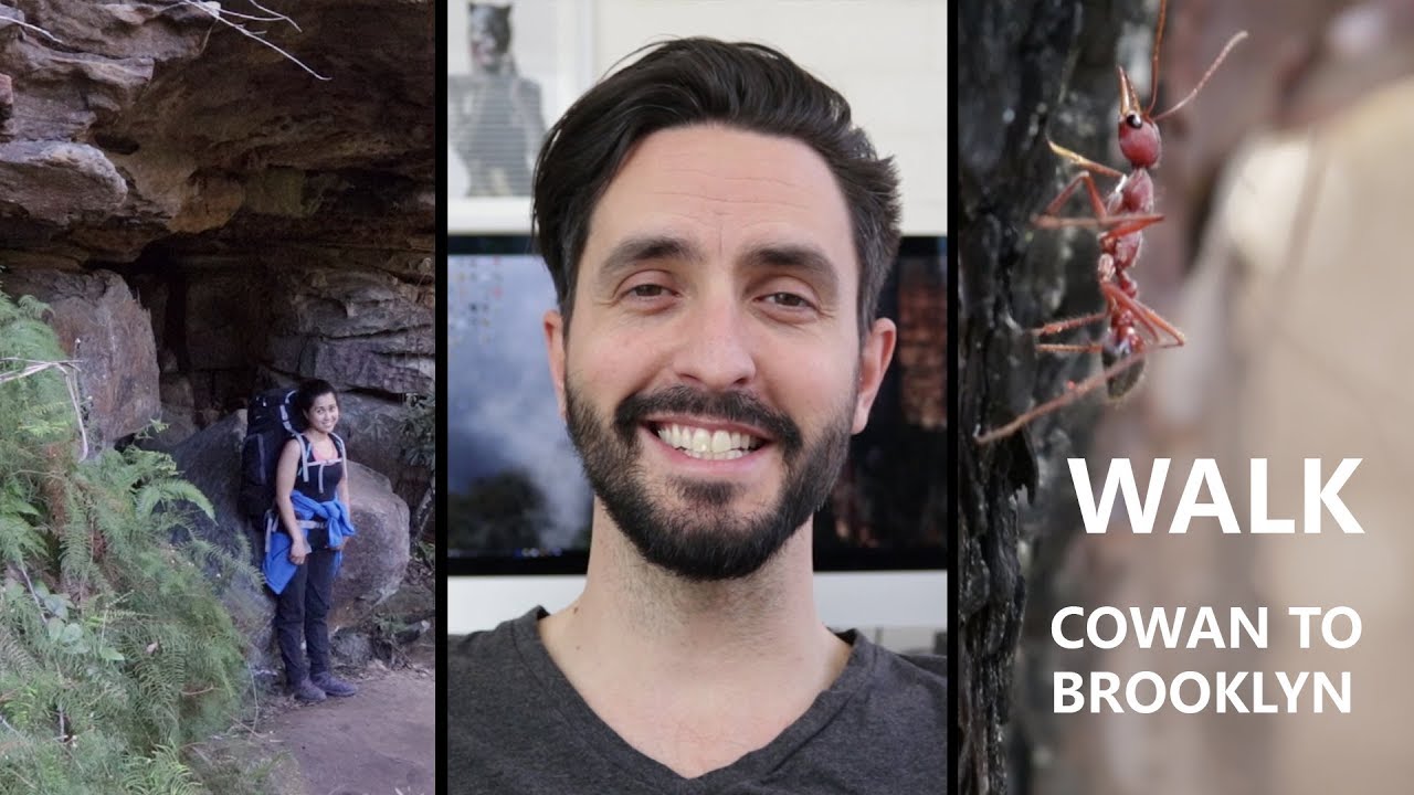 Trail Review - The Great North Walk - Jerusalem Bay Track [Cowan to ...