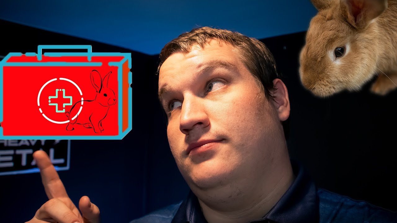 Rabbit first aid kit, what you need to know about your Rabbit Emergency ...