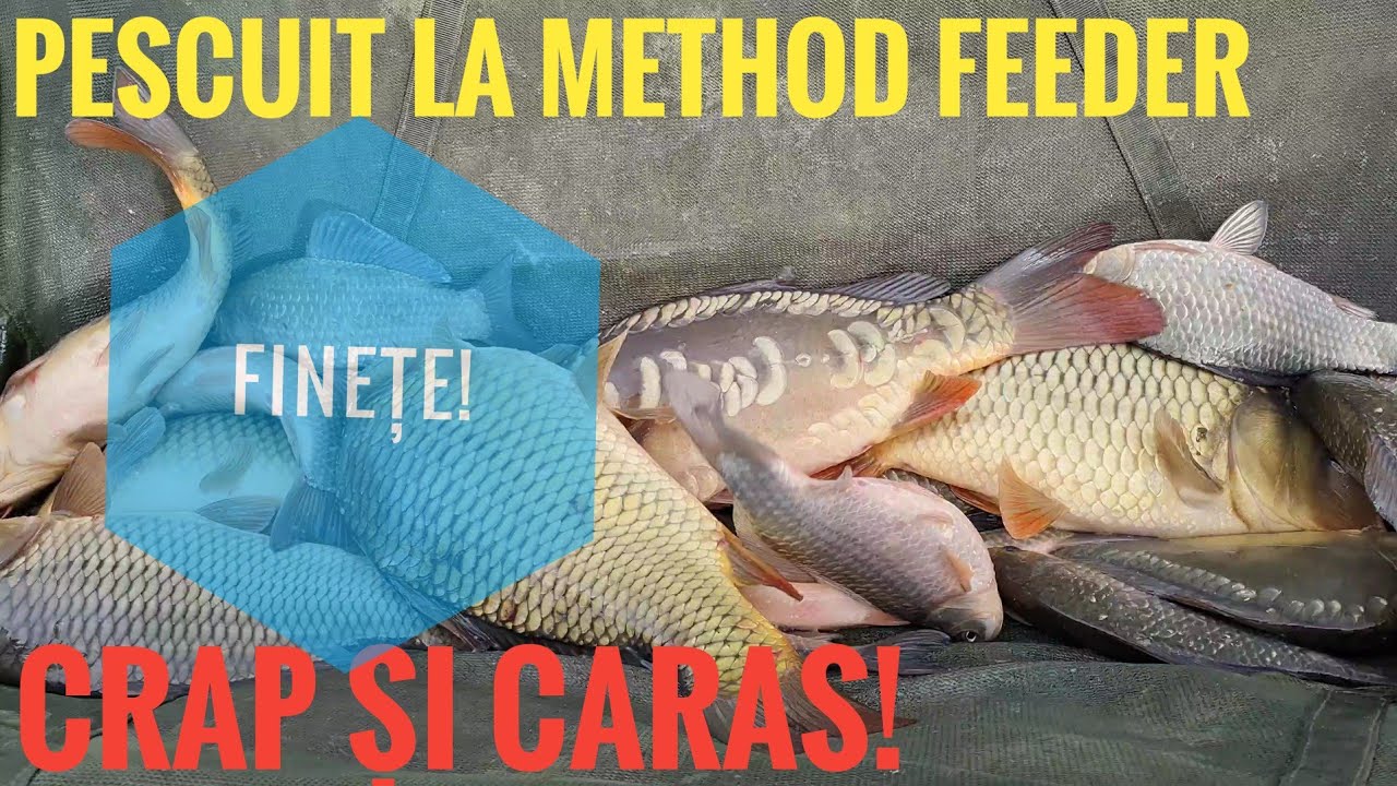 Pescuit de finețe după crap și caras. - YouTube