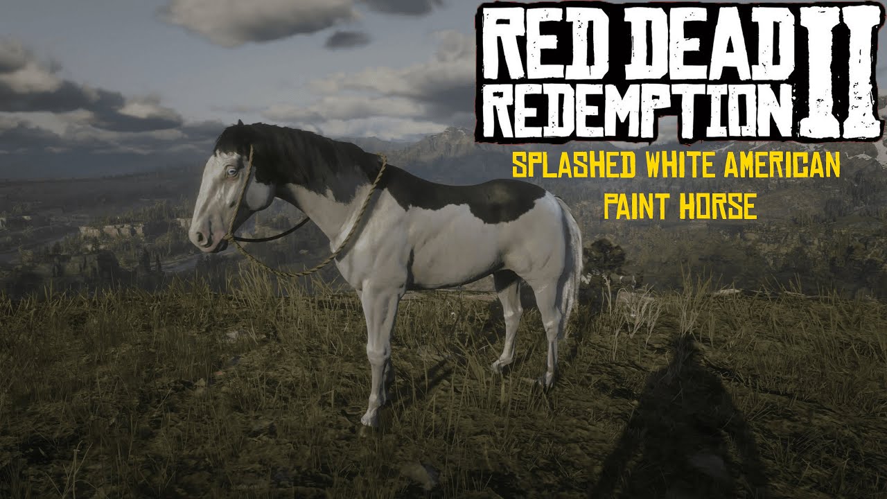 RED DEAD REDEMPTİON 2 - SPLASHED WHİTE AMERİCAN PAİNT HORSE HANGİ ...