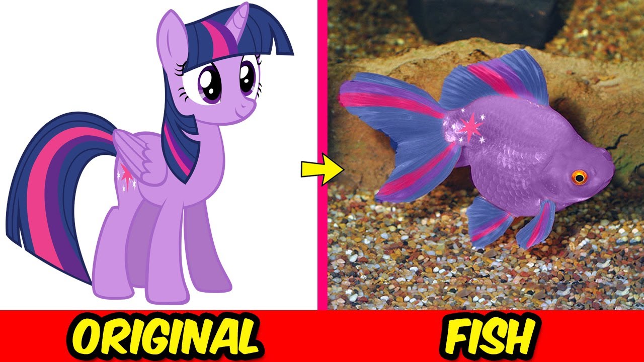 My Little Pony Becomes Fish - YouTube