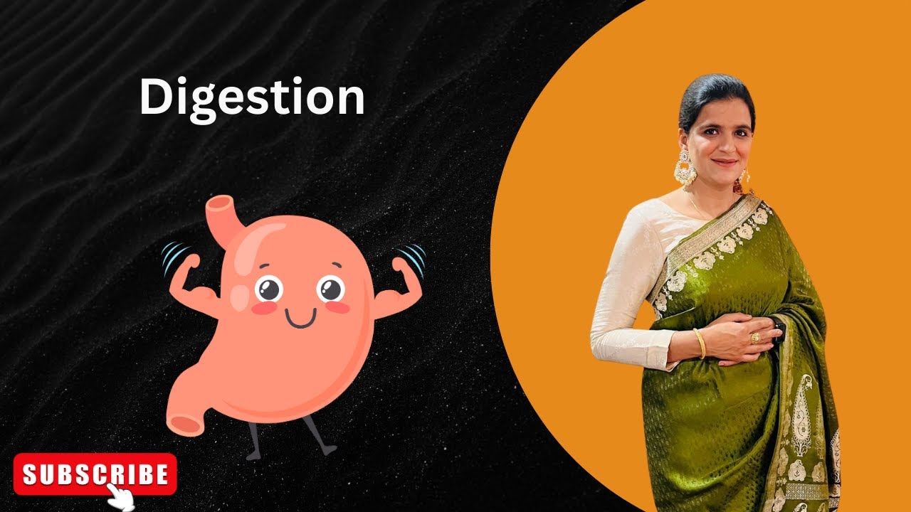 "Digestion Explained: How Your Body Breaks Down Food!" Bio elevate ...