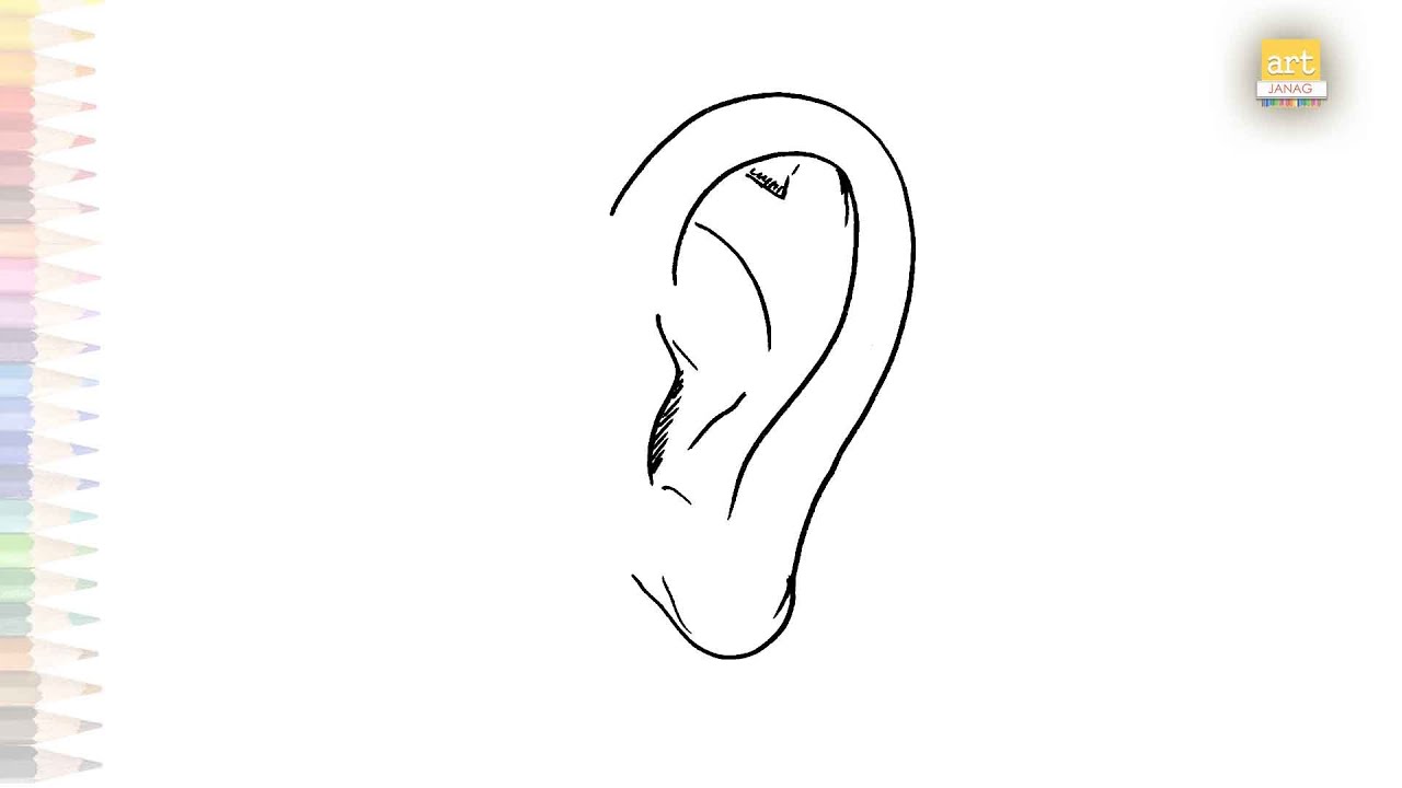 Human ear drawings | Outline drawings | How to draw Human ear step by ...