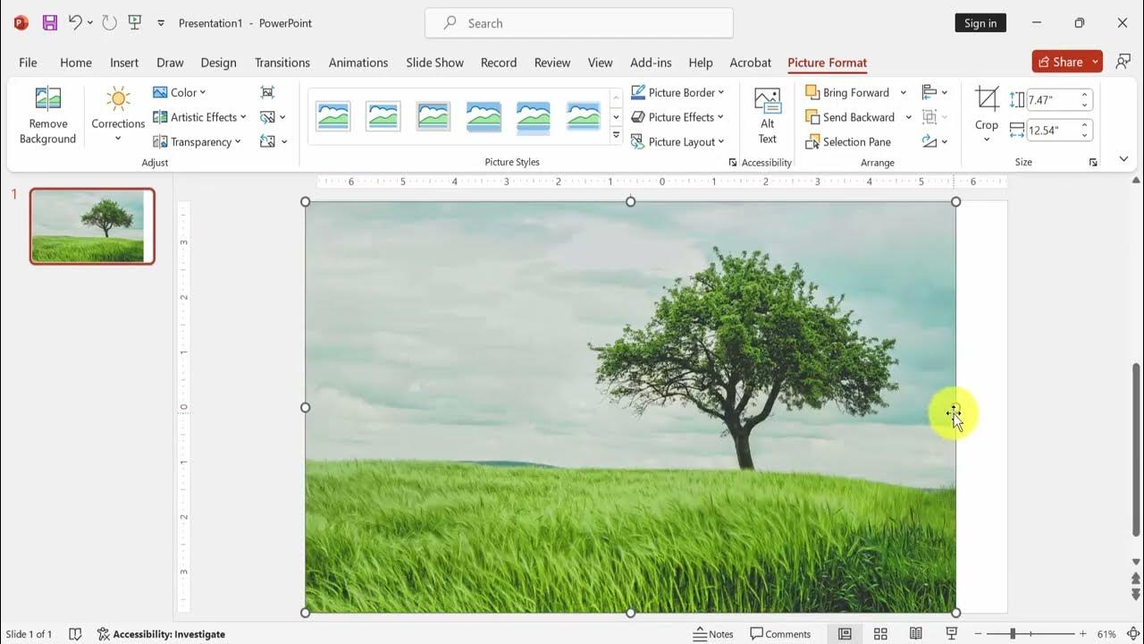 How To Insert Picture In PowerPoint As Background YouTube how-to-insert-picture-in-powerpoint-as-background-youtube
