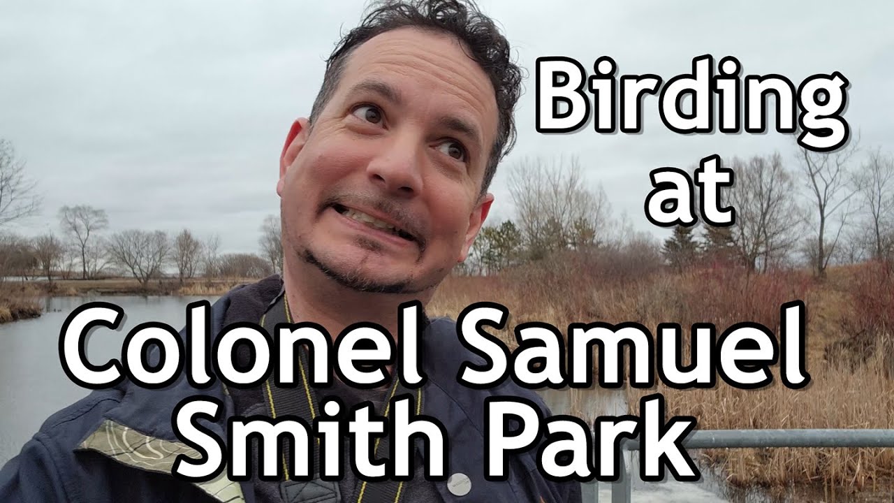 Colonel Samuel Smith Park Birding - YouTube