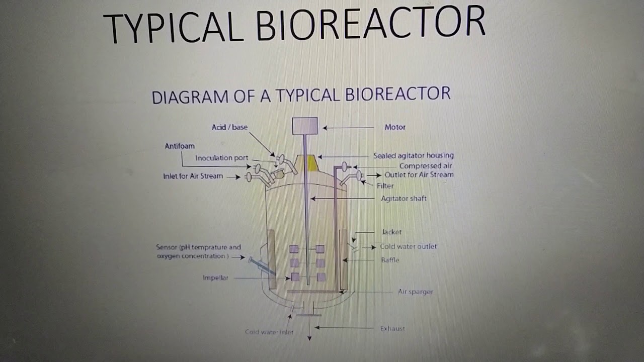 Basic function of Bioreactor I - YouTube