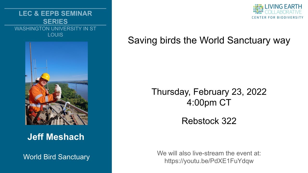 Jeff Meshach - Saving birds the World Bird Sanctuary way - YouTube