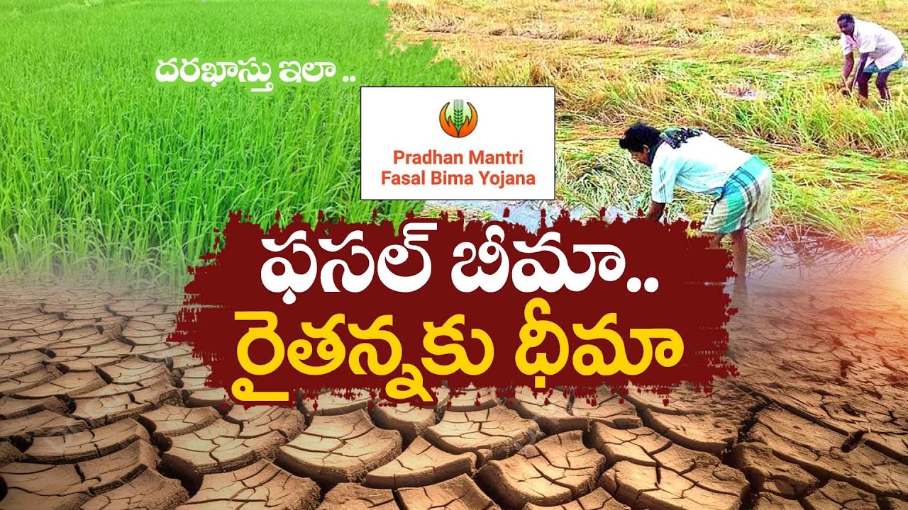 Fasal Bima Yojana | A Crop Insurance | What Benefits to farmers From ...