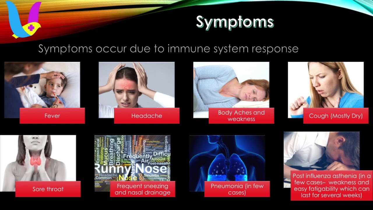 The Influenza Virus - By Dr Vishalakshmi Batchu, MD - Board Certified ...