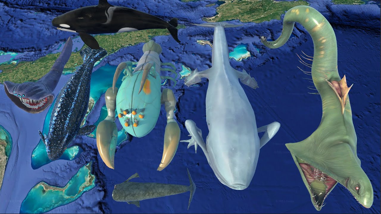 SCP-3700-2 Vs Aircraft Killer Whale Vs Sea Eater | SCP Vs Legendary 3D ...