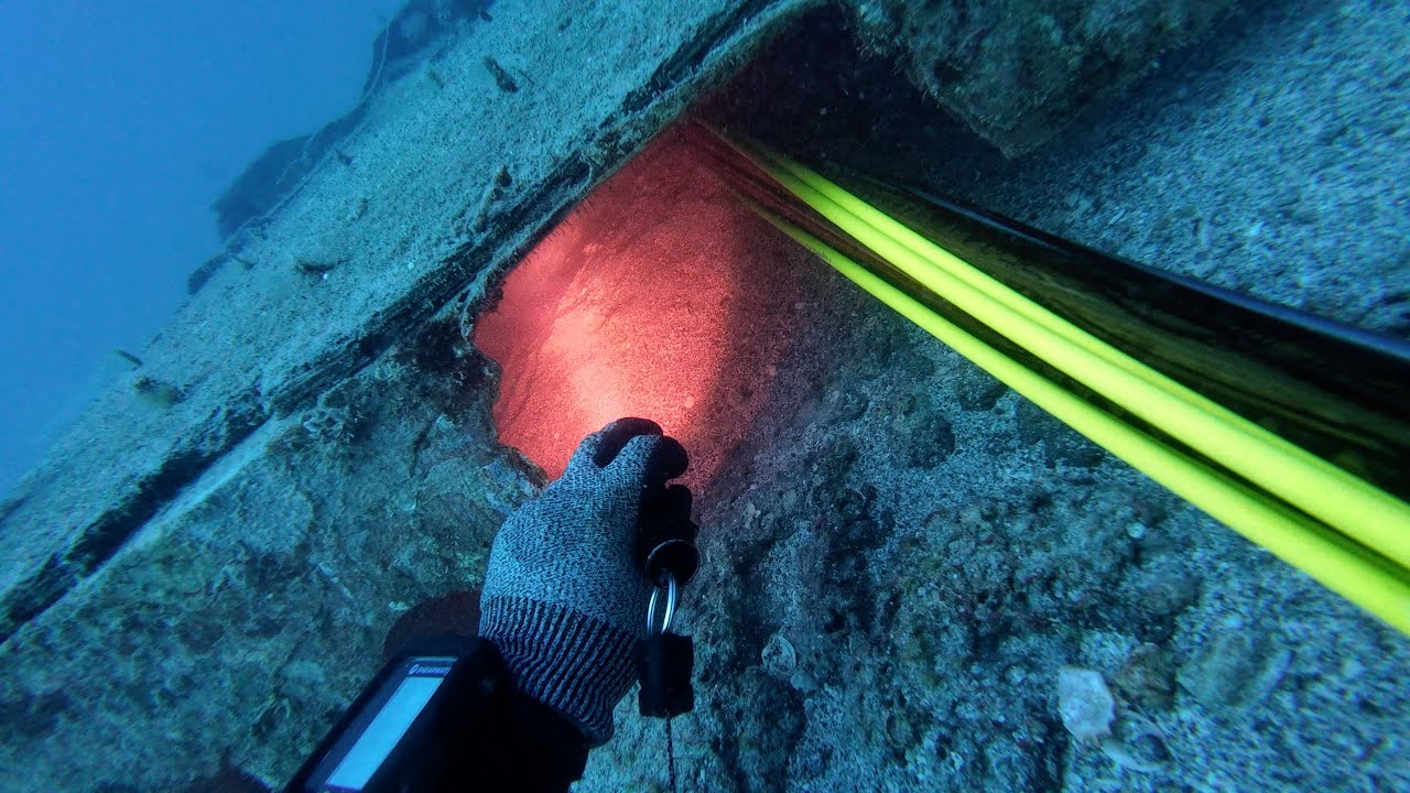 100' WRECK | RED SNAPPER & MANGROVES - YouTube