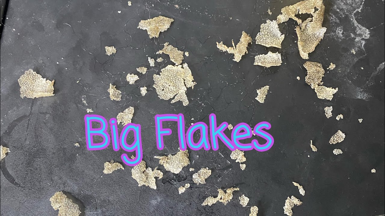 Hey y’all! Big Flakes - YouTube