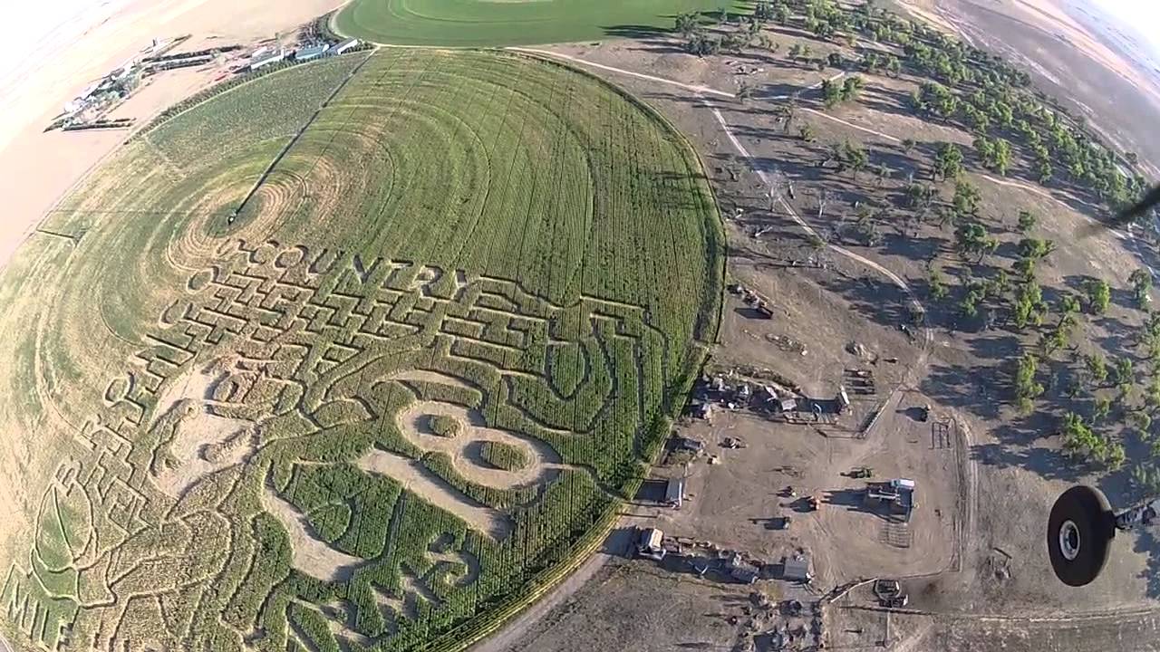 2012 Colorado Corn Maze - YouTube