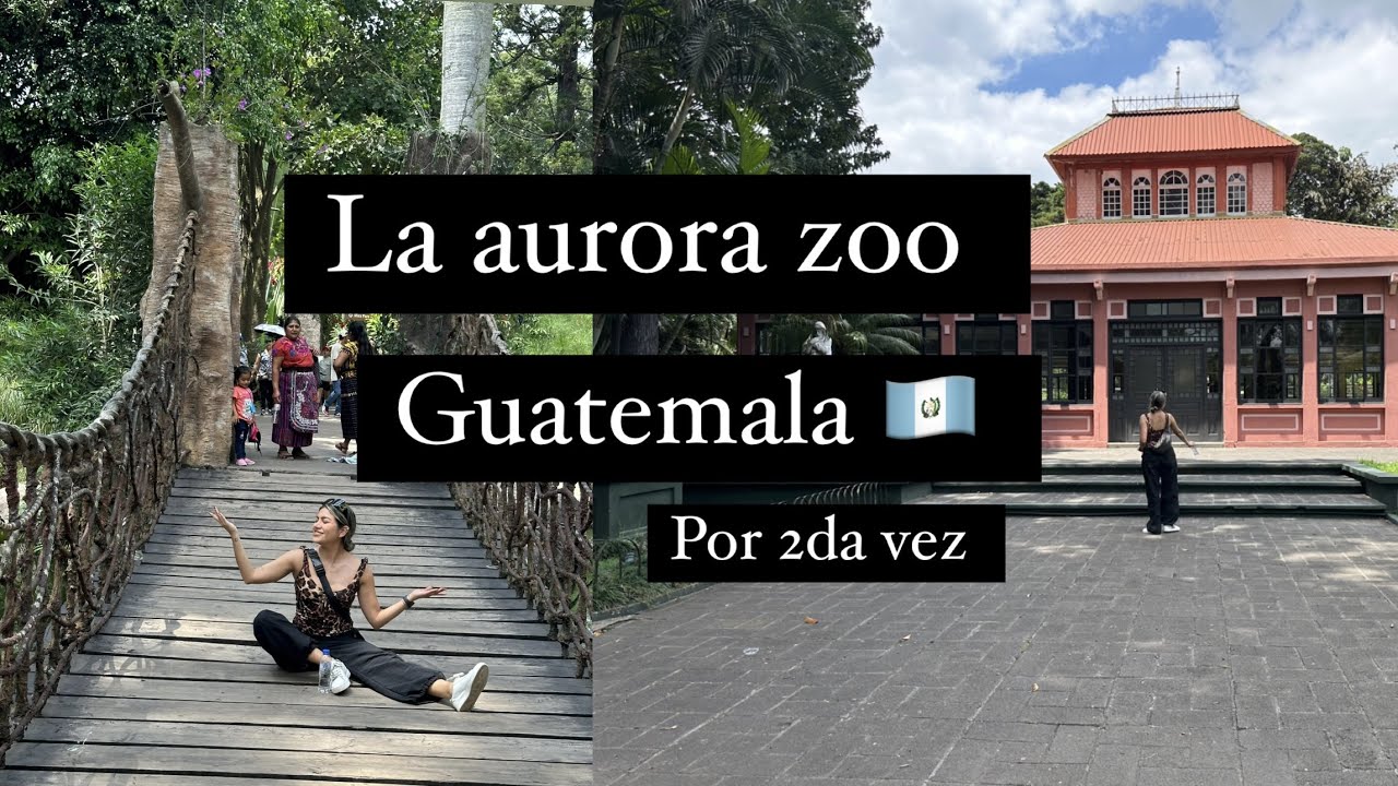 DE VUELTA EN LA AURORA ZOO GUATEMALA 🇬🇹 VALE LA PENA? - YouTube