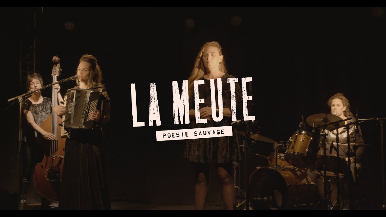 Pas calme - La Meute - Live à la SMAC 07 - YouTube