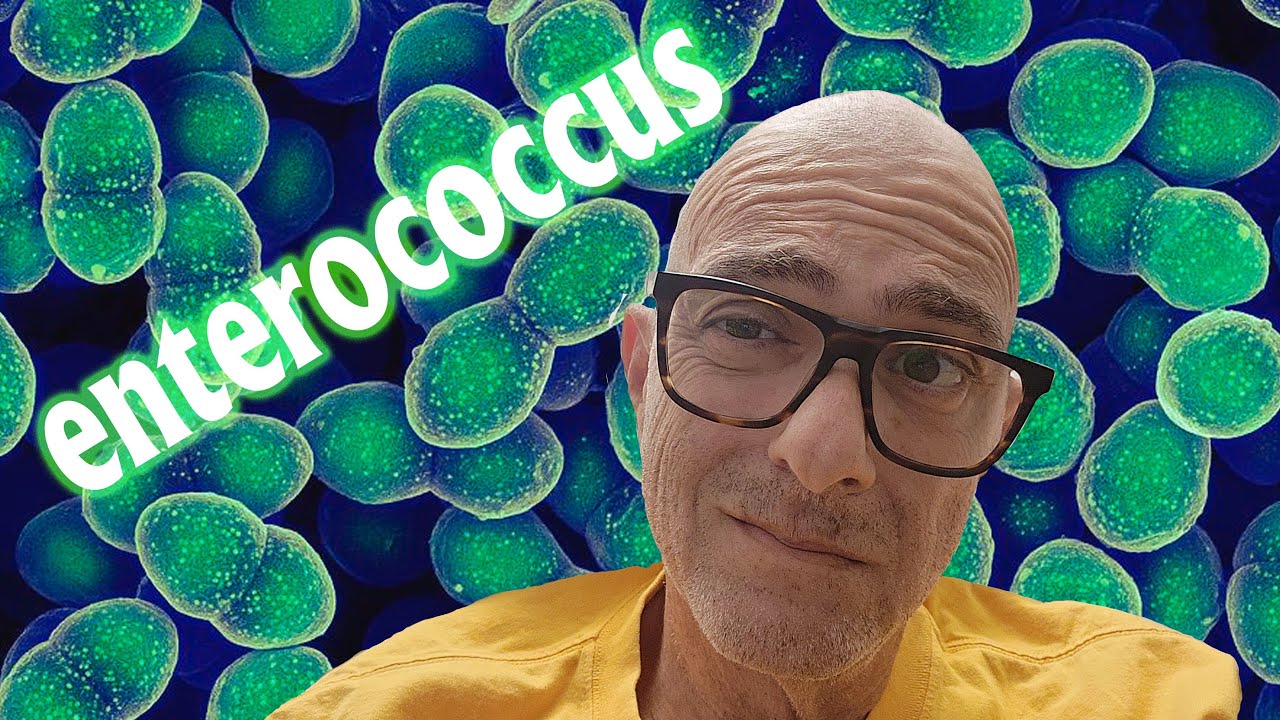 My Journey 20 - Leukemia AML - Enterococcus!! - YouTube