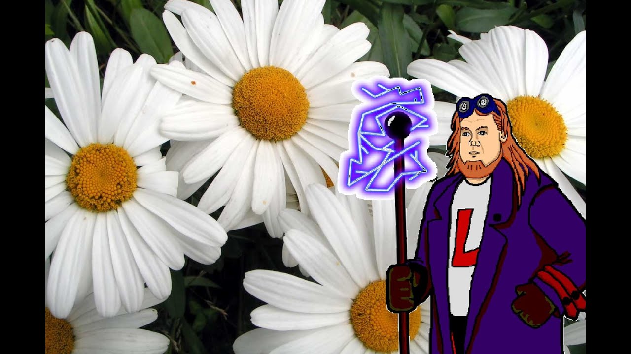 DayZ Standalone - Ludo and the Daisy - YouTube