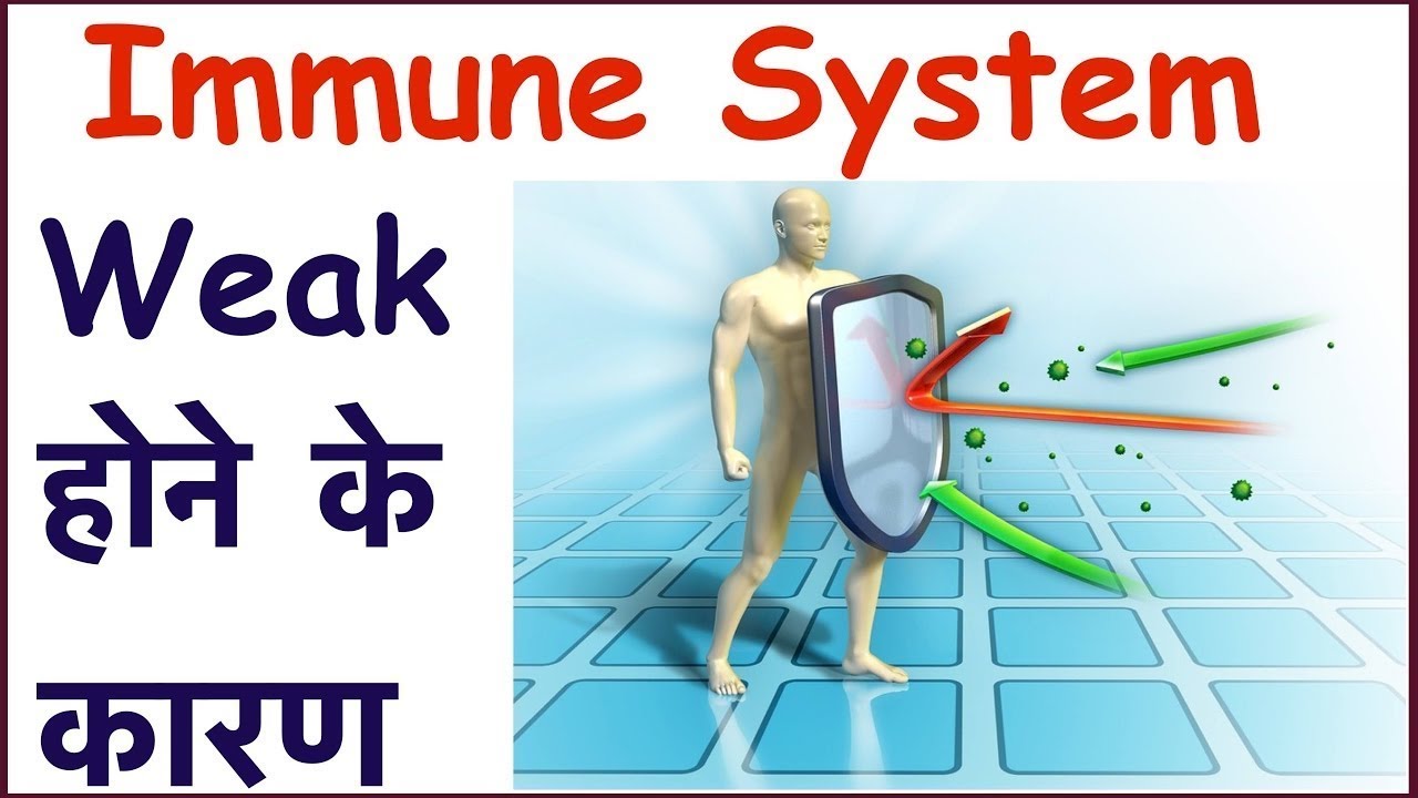 Weak Immune System (Immune System Disorder) | 8 Signs You Have Low ...