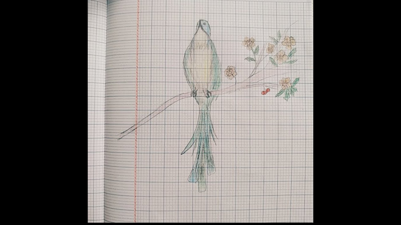 Vẽ con chim - Hướng dẫn vẽ con chim đơn giản - How to draw bird - YouTube