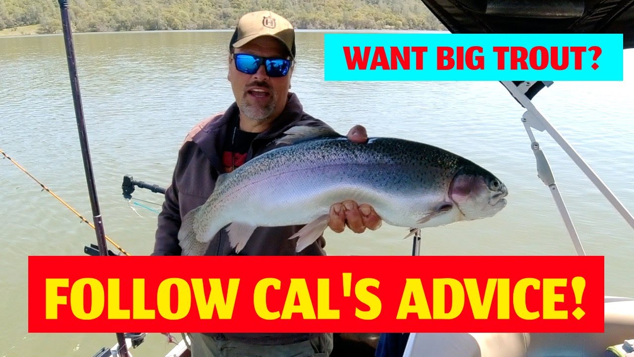 How To Catch Collins Lake Rainbows: Trout Fishing Strategy With Cal ...