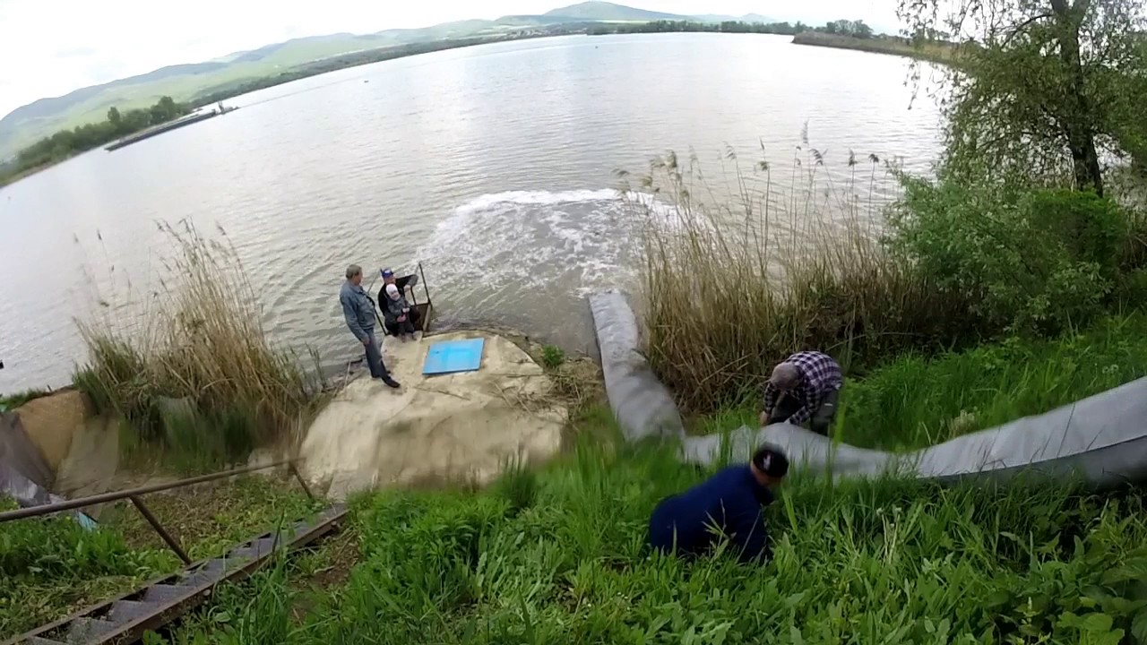 Zarybnenie Strkovisko Geca Kapor K2 - YouTube