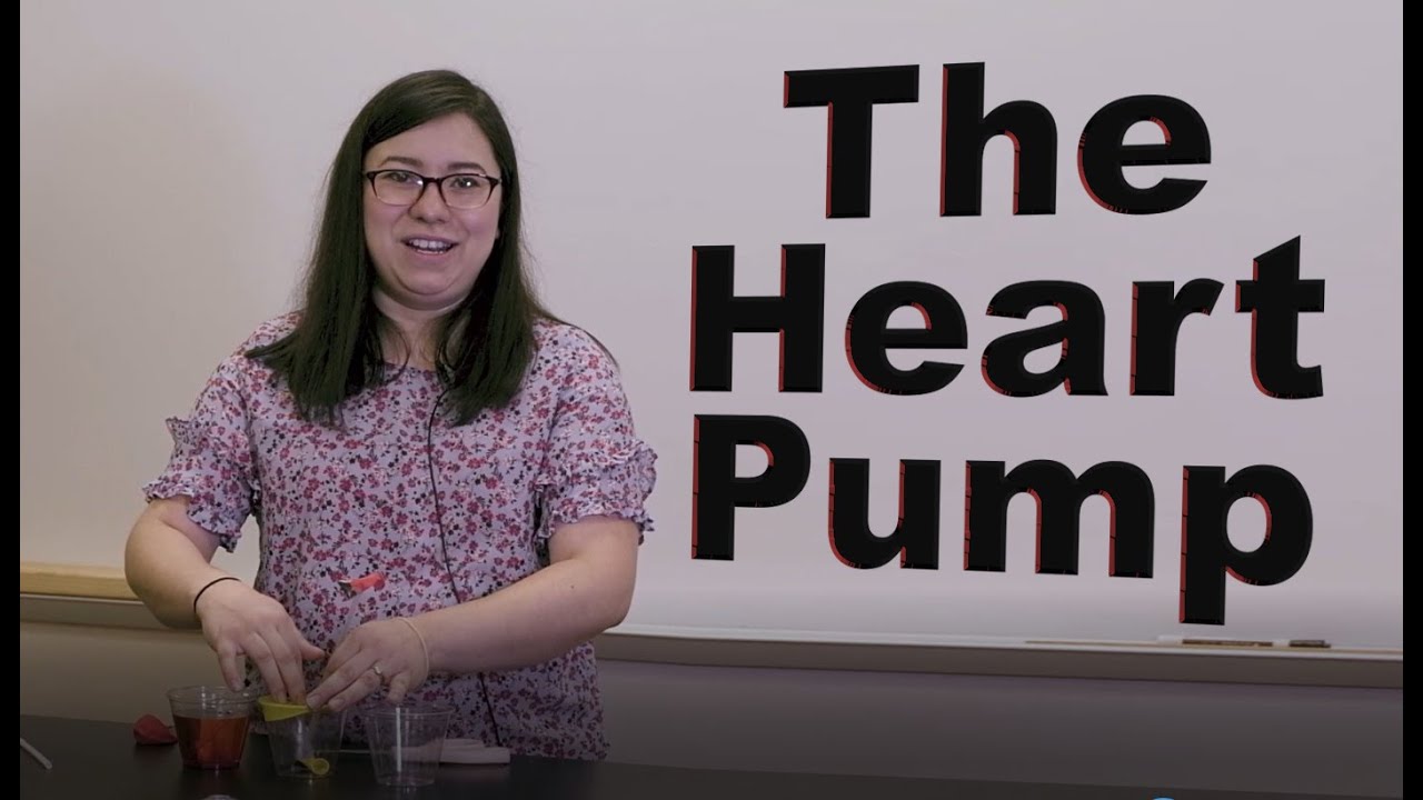 Heart Pump Experiment - YouTube