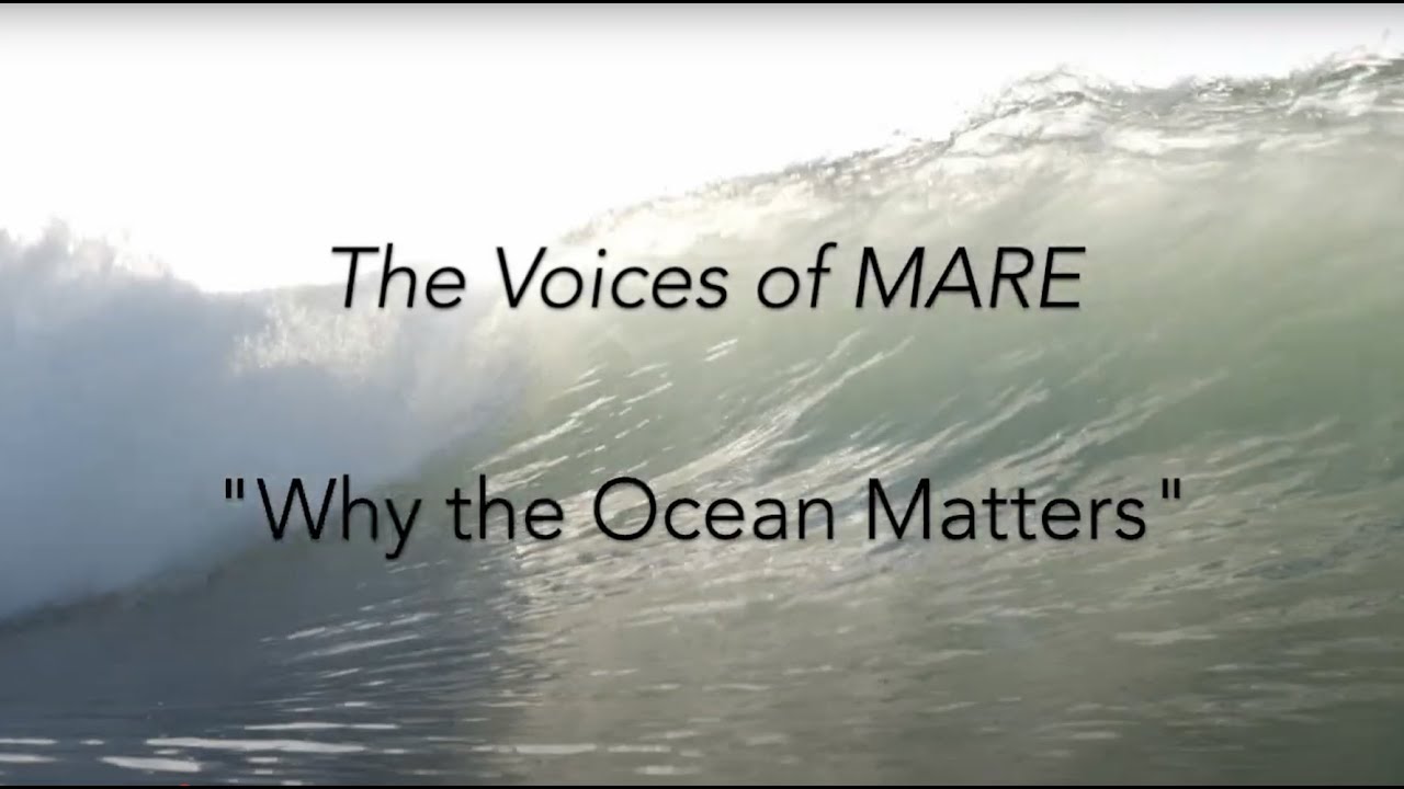 Voices of MARE: Why the Ocean Matters - YouTube