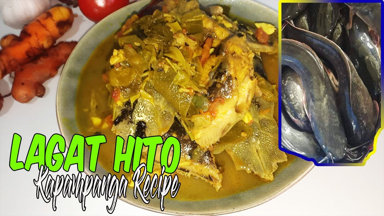 LAGAT HITO KAPAMPANGAN RECIPE | Adobong Hito in Tumeric Yellow Ginger ...
