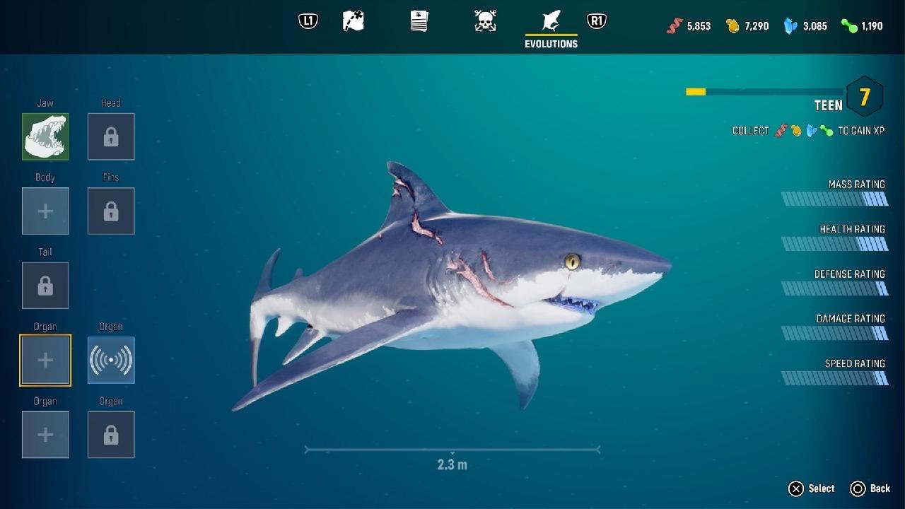 The Return of 'Maneater'... - YouTube