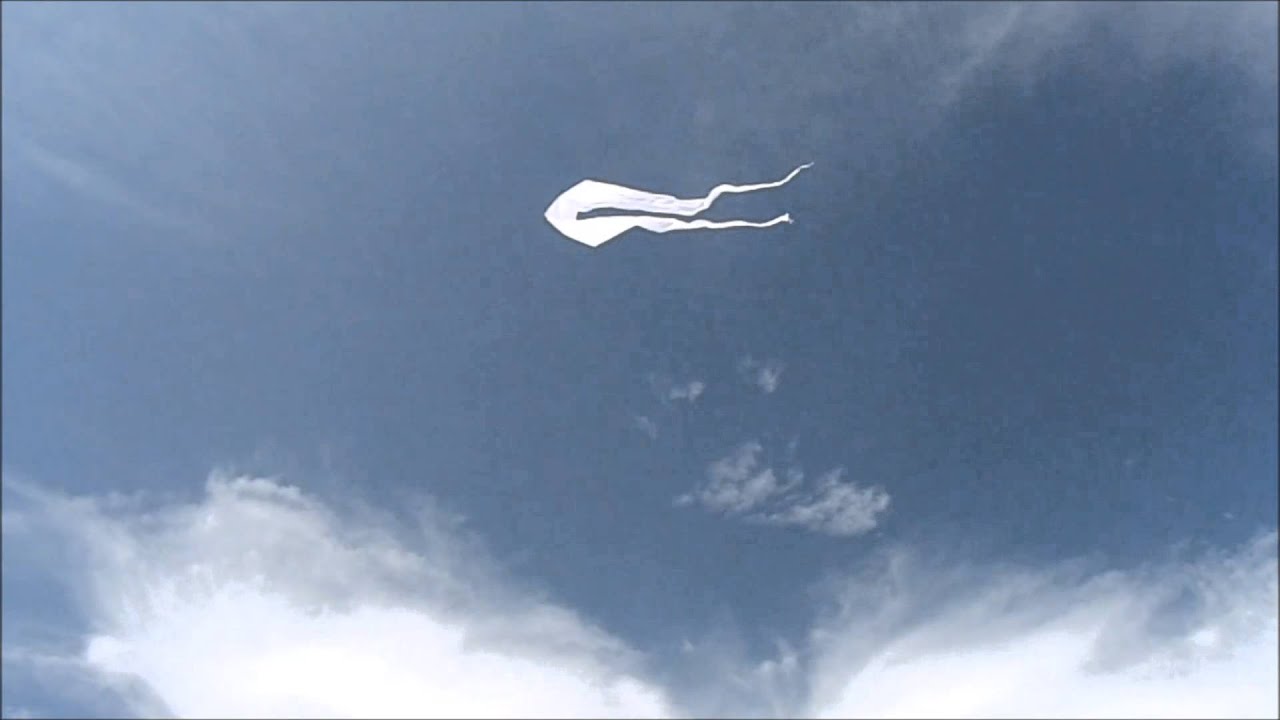 Ghost Delta Kite First Flight - YouTube