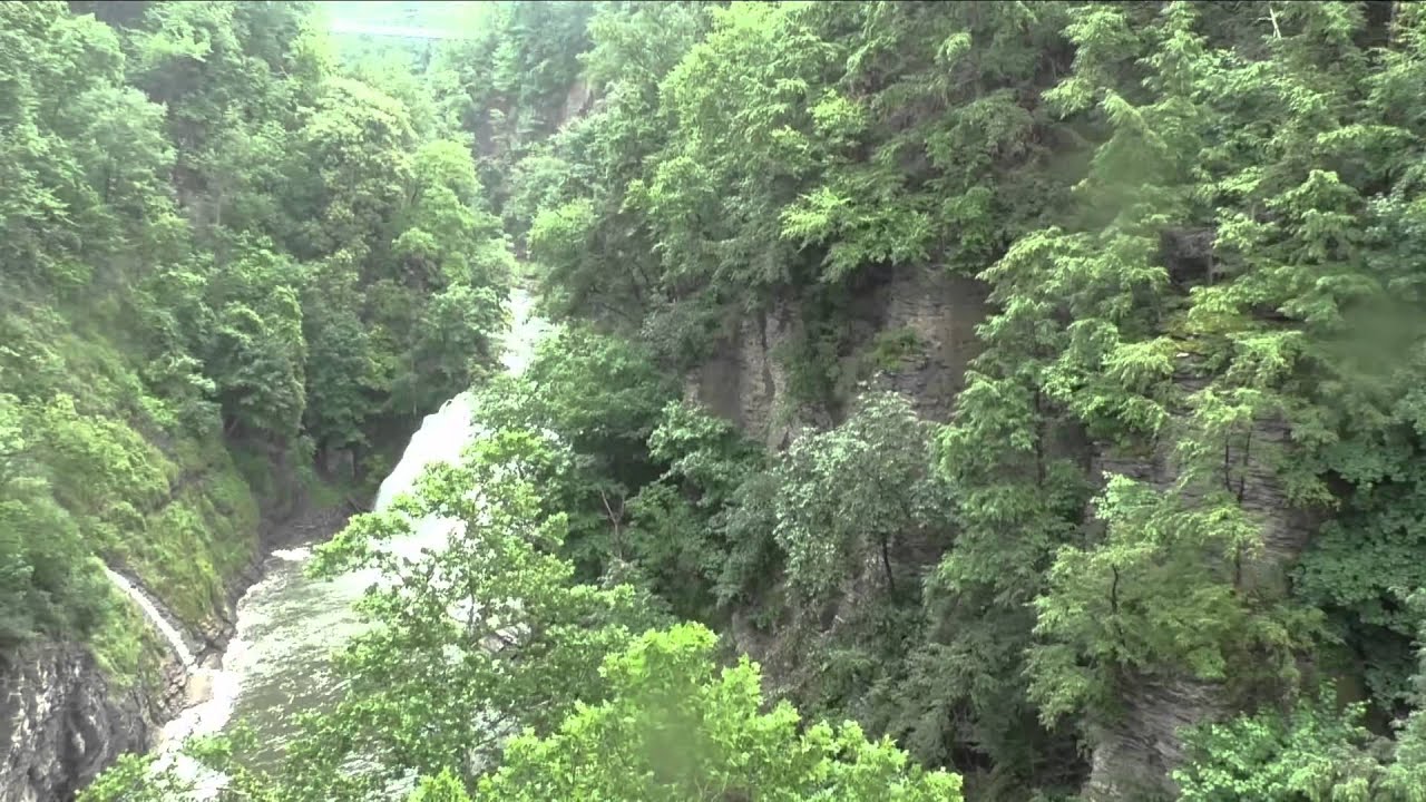 Cliff Nest Juvenile Red-tailed Hawk, 6/27/2015 (HD) - YouTube