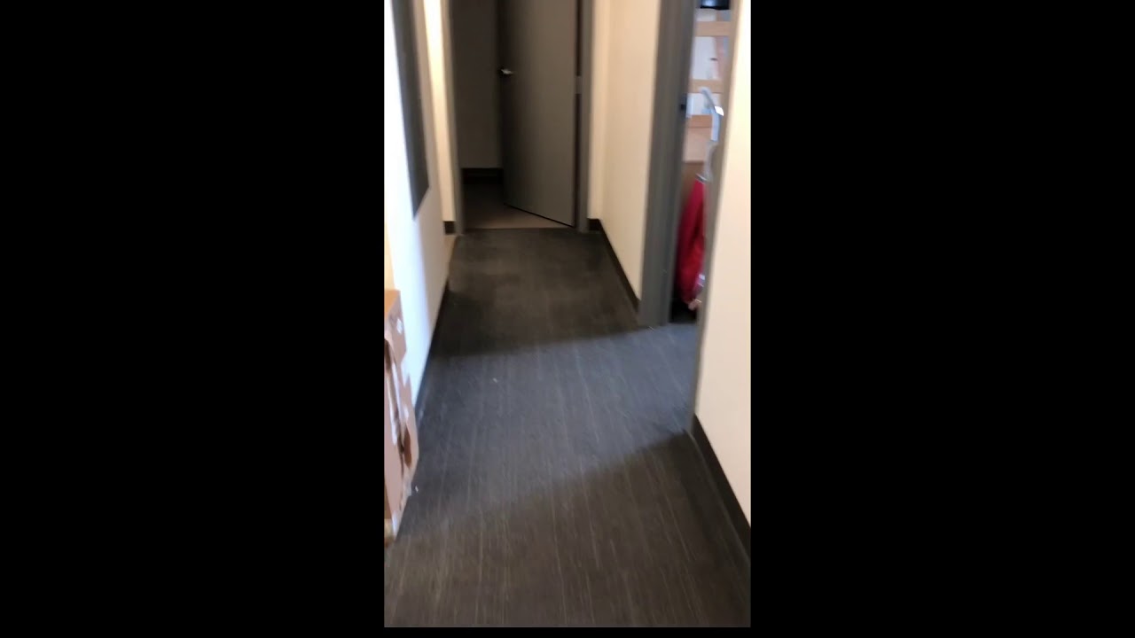 UCSD Village Apartment Tour! (Village East Tower) - YouTube