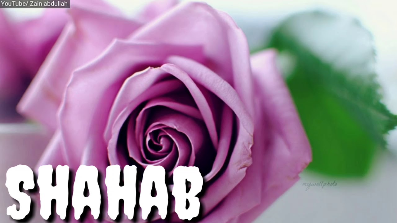 Shahab Name WhatsApp status 💓💓💓💓💓💓💓 - YouTube